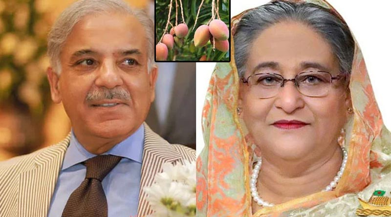 Bangladesh PM Sheikh Hasina's 'Mango diplomacy' with Pa -Freshangle News